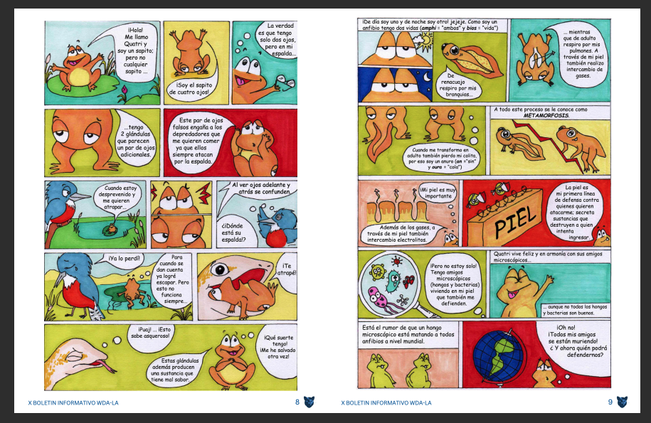 From Comics to Conservation: The Four-Eyed Toad’s Tale – Amphibian ...