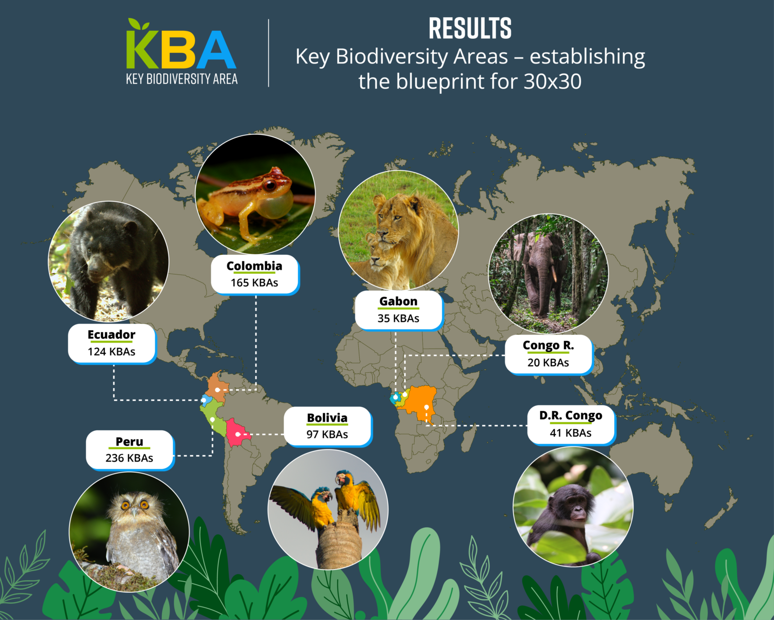 News – Amphibian Survival Alliance