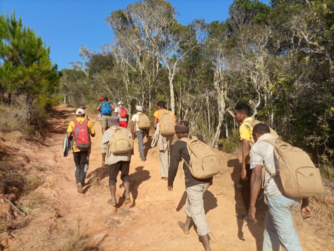 Madagasikara Voakajy Rangers mobilize for the conservation of Mantella ...